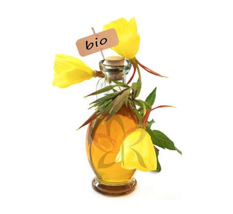 Huile D Onagre BIO