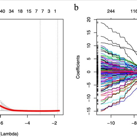 Radiomics Feature Selection Using The LASSO Cox Regression Model A The