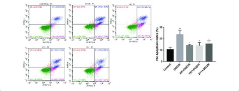 Compounds Inhibit Ogdr Induced Cell Apoptosis Flow Cytometry Images