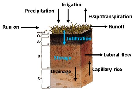 Chapter 101.2 – Fluxes of Water and Energy in an Irrigated System ...