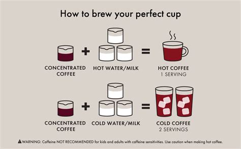 OXO Brew Rapid Brewer Cafetera portátil rápida manual caliente y fría pequeña cafetera de