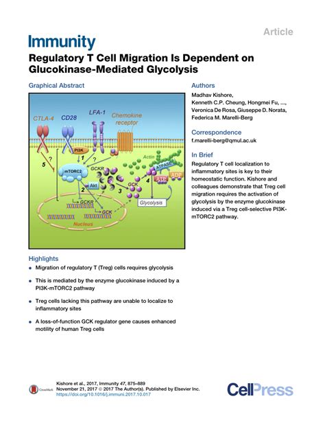 Pdf Regulatory T Cell Migration Is Dependent On Glucokinase Mediated