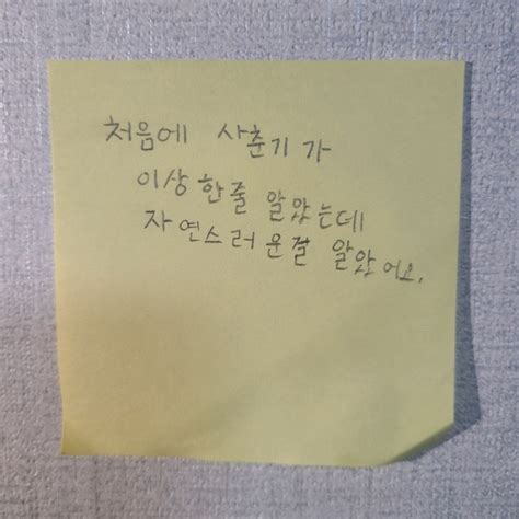 서울 고척초등학교 고학년 6학년 생식기 구조와 명칭 및 사춘기 성교육 수업 후기 네이버 블로그