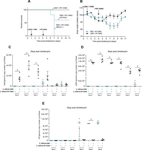 C Difficile Lem1 Protects Mice Against C Difficile Vpi10463 Induced