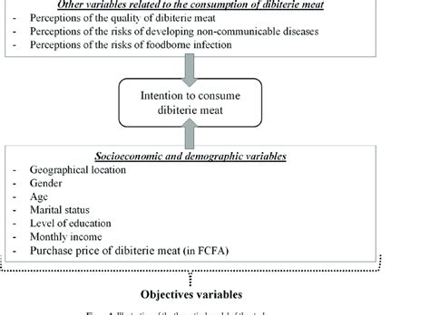 Illustration Of The Theoretical Model Of The Study Download Scientific Diagram
