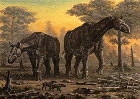 Paleozoic Mesozoic And Cenozoic Fossils Artofit