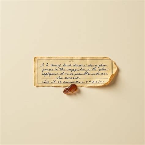 Free Specimen Label Art Image Download At Stockcake