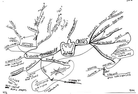 Mind Maps Pathology Endocrine System Ppt