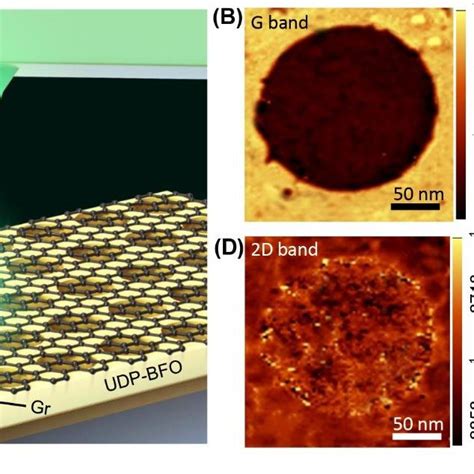 Gate Dependence Of Graphene Carrier Density A Experimental Setup Download Scientific