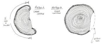 3 2 Determining Tree Diameter Forest Measurements