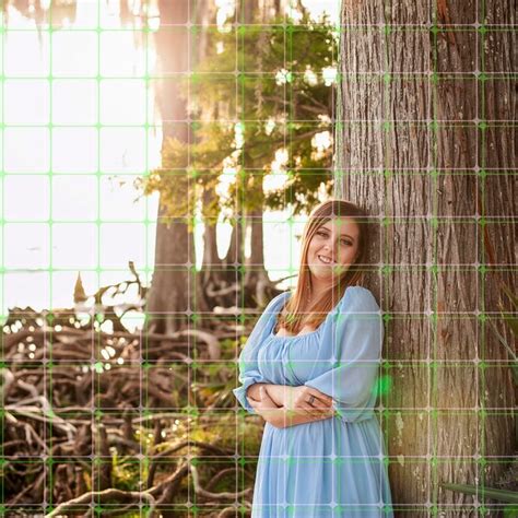 Proof Grid Overlay Watermark Etsy