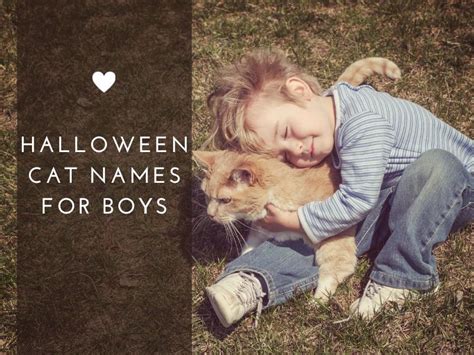 420 Halloween Cat Names A Hauntingly Fun Collection