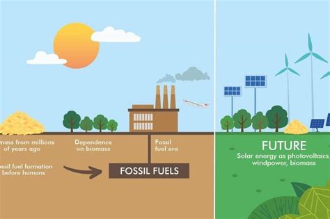 Understanding The Environmental Impact Of Traditional Energy Sources