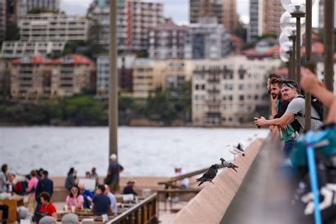 Majority Of Australian Businesses Affected By Covid 19 Pandemic The