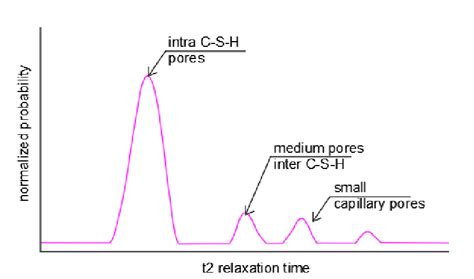 T2 Relaxation Time Distribution Graph Explained Download Scientific