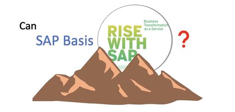 Sapbasis Abap S4hana Sapbtp Sapconsultant Sapcommunity Raja Gupta
