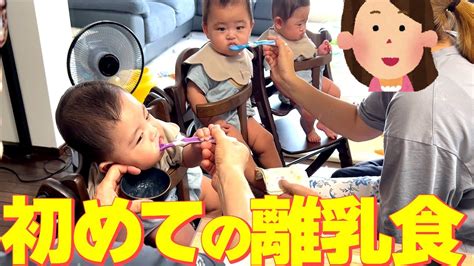 三つ子、初めての離乳食は上手にできるかな Youtube
