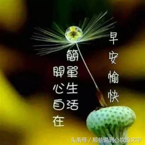 朋友圈早安語錄 朋友圈早安圖片 每日頭條