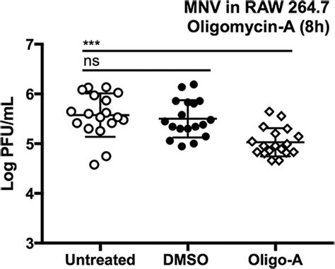 Effect Of Oligomycin A Oligo A On Mnv 1 Replication In Raw 264 7