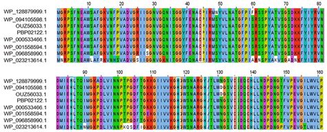 Msa Among Different Amidase Effector 4 Tae4 Proteins Using