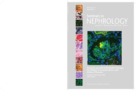 PDF An Overview Of Pathways Of Regulated Necrosis In Acute Kidney Injury