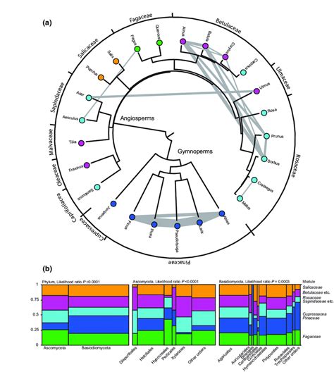 A Phylogeny For The Woody Hosts Included In The Standardized Data