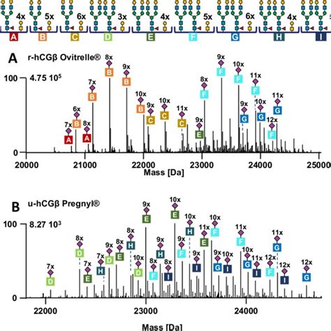 Deconvoluted Mass Spectra Of Proteoforms Present In A R Hfshα And B