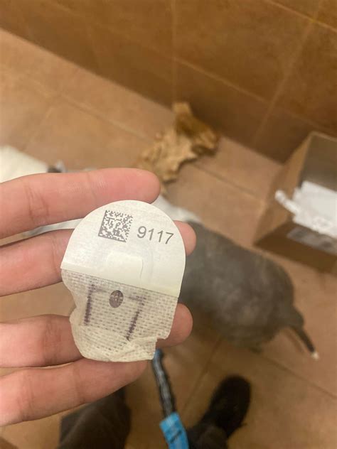 Standalone Dexcom App With Pixel Watch Lte Is It Possible R Dexcom