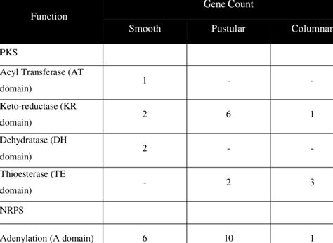 18 Non Ribosomal Peptide Synthase And Polyketide Synthase Hits Through Download Scientific