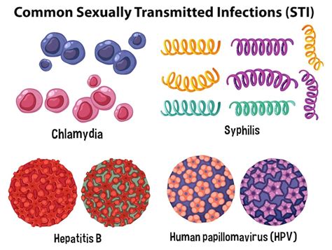 Infecciones De Transmisión Sexual Comunes Its Vector Gratis
