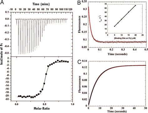 Kinetic And Thermodynamic Analysis Of The Trim21 Pryspry Domain Binding