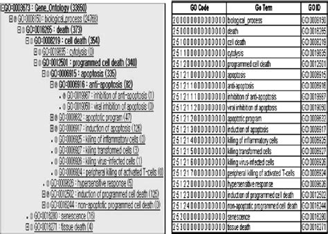 An Example Of GO Codes From A Part Of GO Text Format In The GO Text Download Scientific