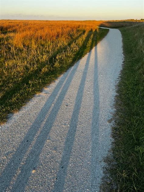 Schier 25 Blog Paul Nas Balafoonpassie