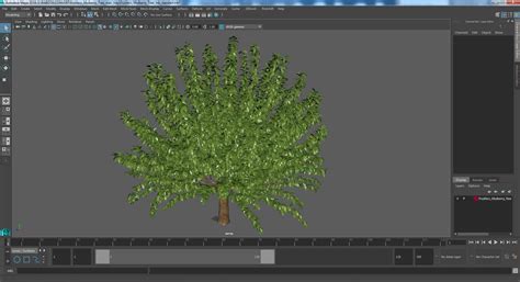 Fruitless Mulberry Tree 3d Model 49 3ds Blend C4d Fbx Max Ma