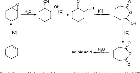 Figure 1 From Cyclohexane Oxidation Continues To Be A Challenge