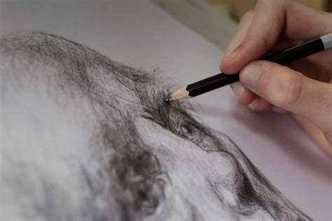 Akademinis Piešimas Pradedantiesiems Ir Pažengusiems Cursum