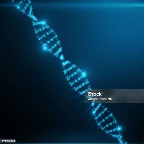 파란색 점과 선으로 이루어진 다각형 Dna 개념 디지털 그림 Dna 구조입니다 Dna 분자 구조 3d 렌더링 0명에 대한 스톡 사진 및 기타 이미지 Istock