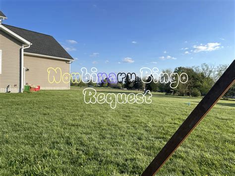 Bi And Non Binary Pfp Pippit