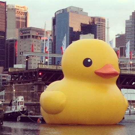 Incoming 15 Meter Tall And Wide Duckie Ducky Rubber Duck Rubber