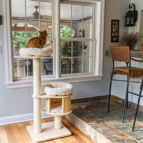 Canada S Favourite Premium Cat Furniture Artofit