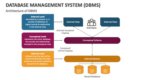 Database Management System DBMS PowerPoint And Google Slides Template