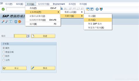 Sap更改标准屏幕字段显示名称——文本增强sap怎么设置显示字段名 Csdn博客 Sap更改标准屏幕字段显示名称——文本增强sap怎么设置显示字段名 Csdn博客