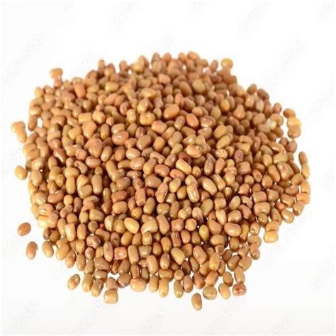 Moth Bean Pulse At ₹ 78 Kg Indian Pulses In Thane Id 2850942471655