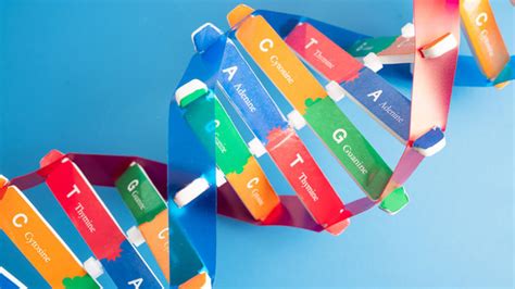 The 3 Parts Of A Nucleotide Explained