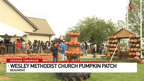 Wesley Methodist Church In Beaumont To Open Its Pumpkin Patch On Friday