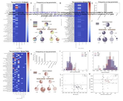 Gastruloid Blastoid Embryoid Technology Coordination Between Endoderm Progression And