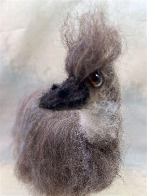 Emu Tutorial Wild Woolly Needle Felting Australia