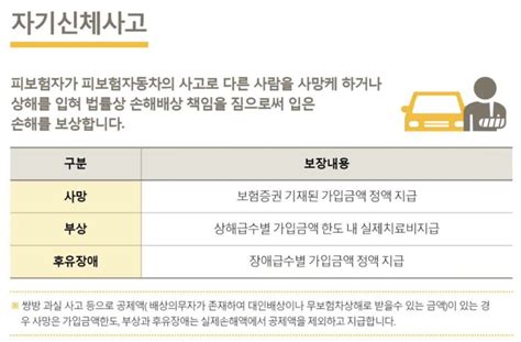 교통사고 자기신체사고와 자동차상해 특약 어떤 차이가 있을까요 네이버 블로그