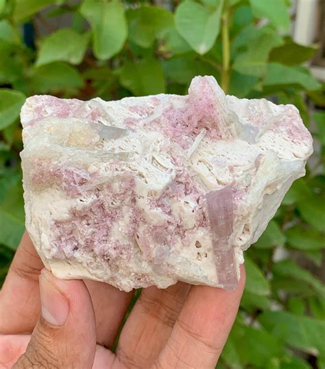 Natural Pink Color Tourmaline Crystal Bunch With Lepidolite And Albite
