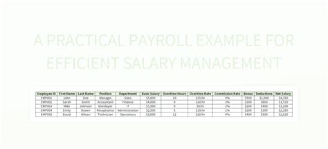 Practical Salary Management System Sheet Streamlining Payroll With Efficiency And Accuracy Excel